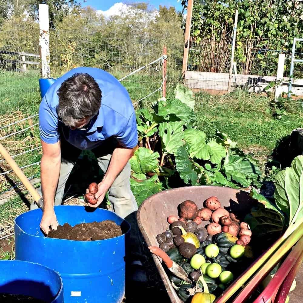 Easy DIY Potato Barrels | Homemade Food Junkie